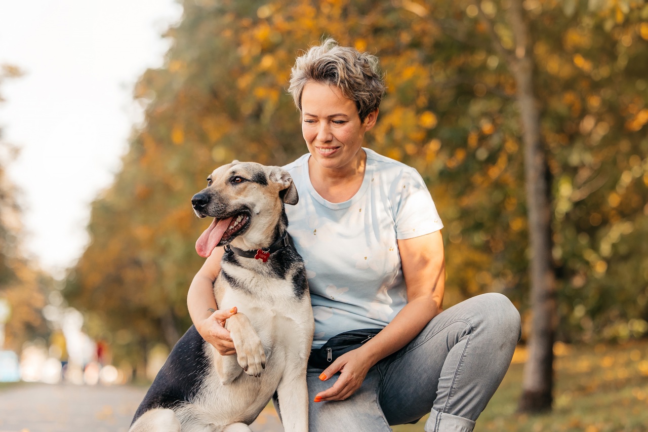 Собака-олененок Одри ждет свою семью! - Москва. Разное о животных ...